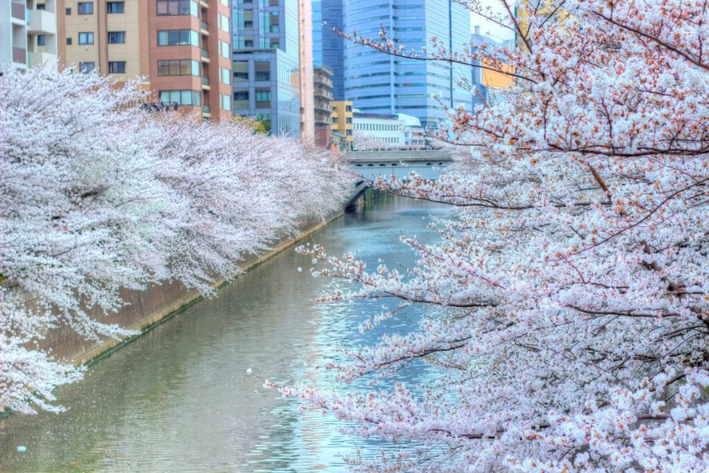 Best Places To Live In Tokyo - Just About Japan