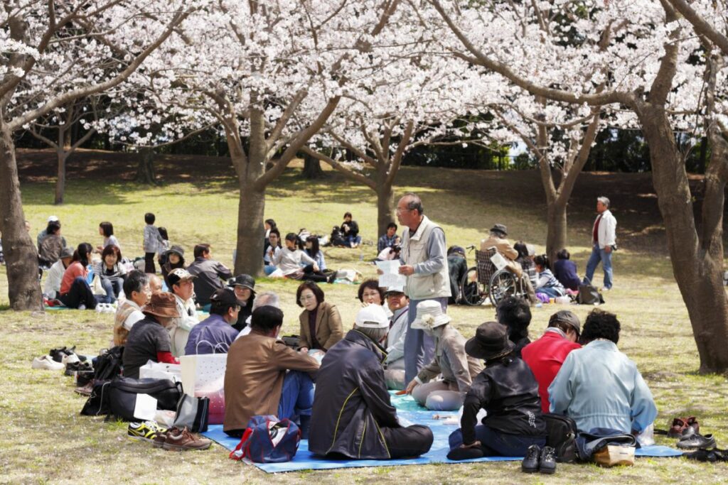 Hanami Manners: A Full Checklist Of The Dos And Don'ts - Just About Japan