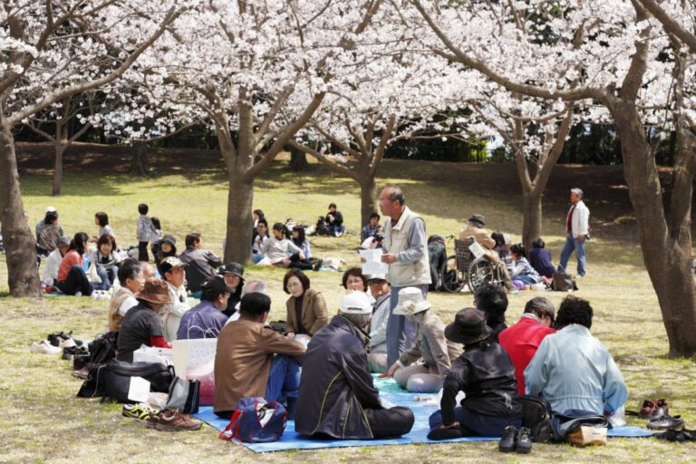 Hanami Manners: A Full Checklist Of The Dos And Don'ts - Just About Japan