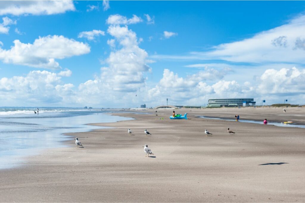 Best Beaches In Japan - Just About Japan